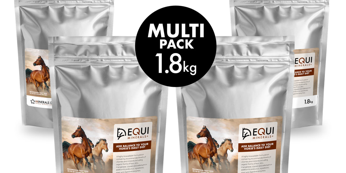 Equi Minerals Plus 4 Pack | Horse Vitamin & Mineral Supplement